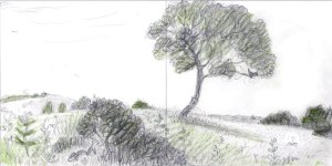 An interview with Rob Dunlavey, in which he shares his American ...