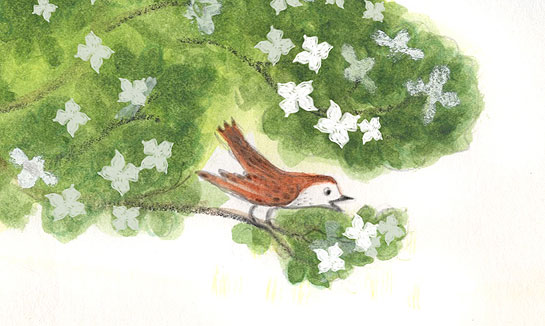 An interview with Rob Dunlavey, in which he shares his American ...